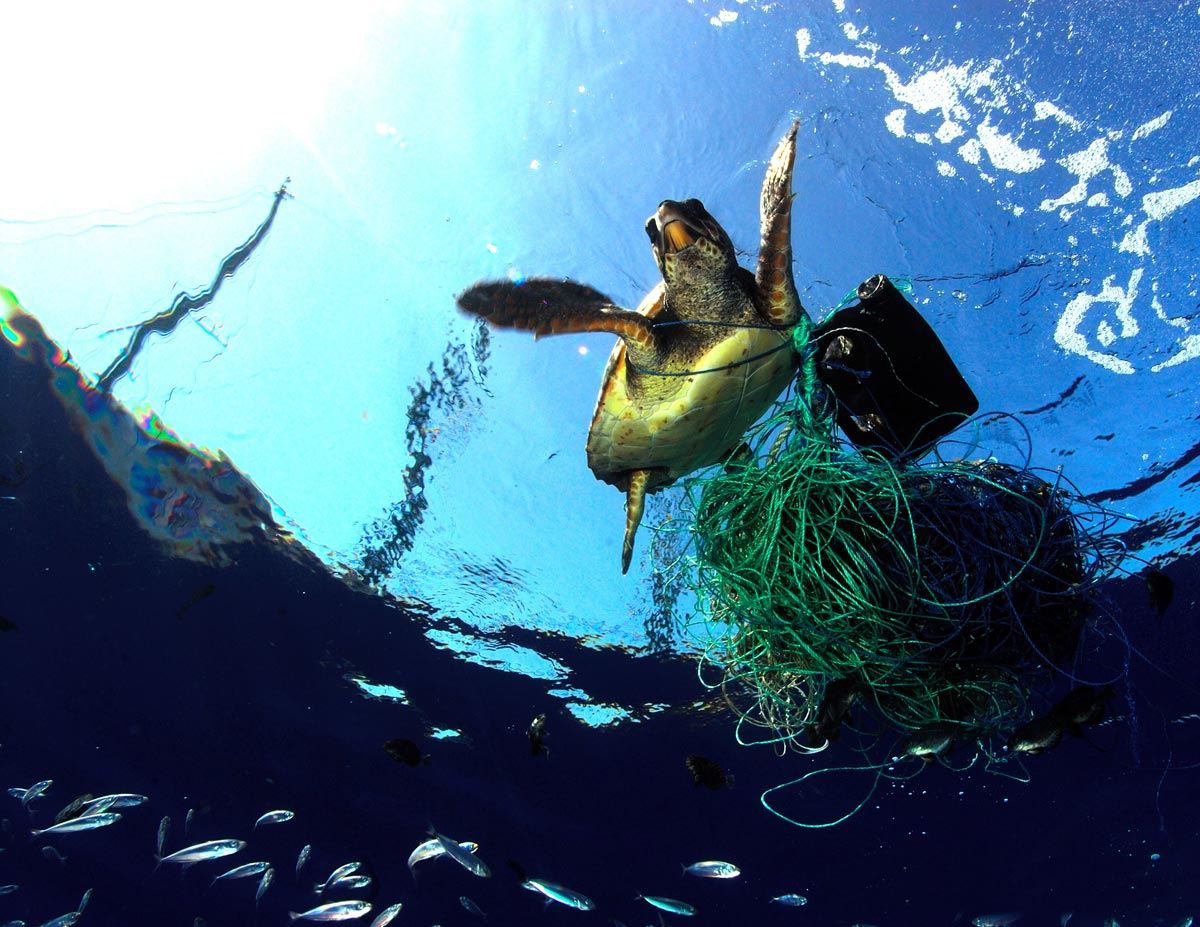 La Cote des Montres: Breitling and Ocean Conservancy: sharing a passion ...