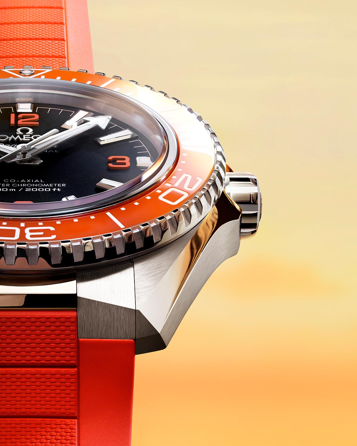La Cote des Montres: The Omega New Seamaster Planet Ocean watch - A ...